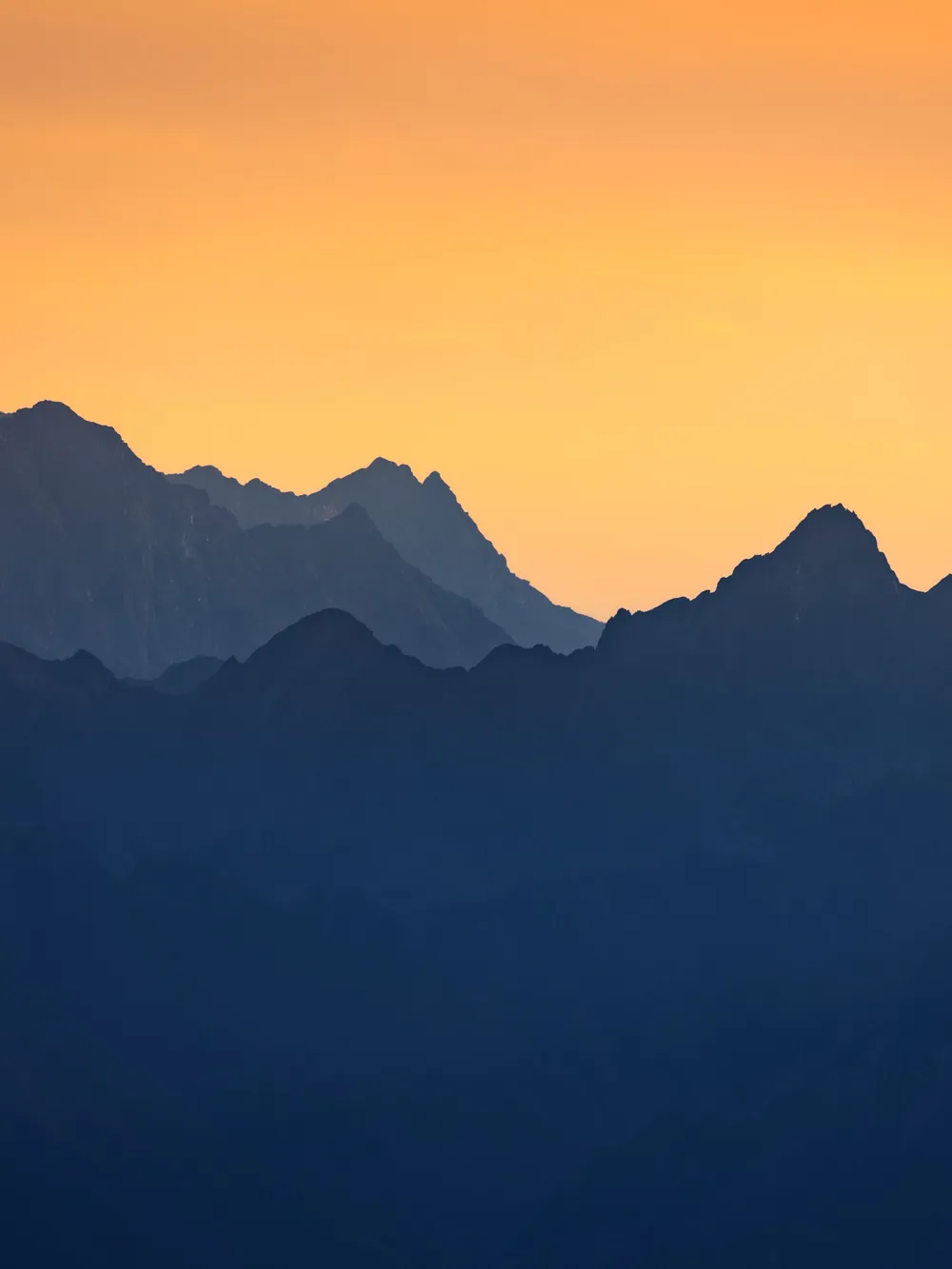 Bitter Roots Spoil God’s Grace | Devotional | Derek Prince Ministries