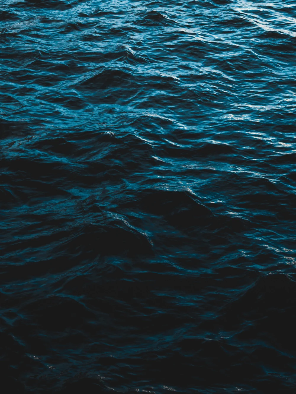 The Unvarying Requirement: To Hear God’s Voice | Devotional | Derek ...