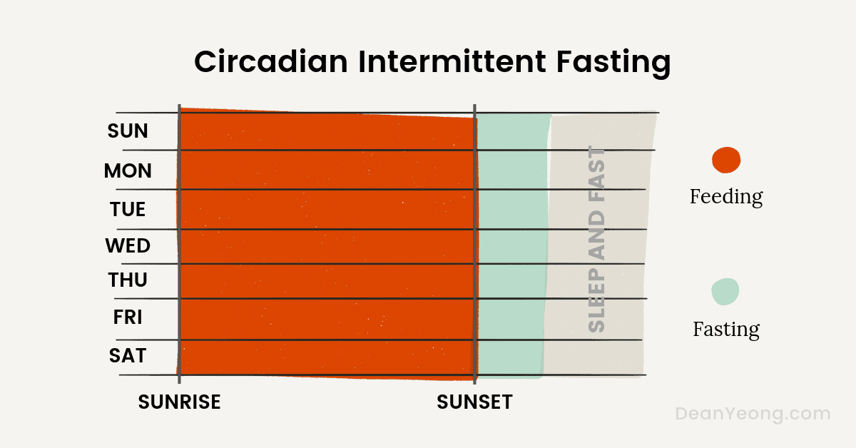 The Complete Guide to Intermittent Fasting for Beginners | Dean Yeong