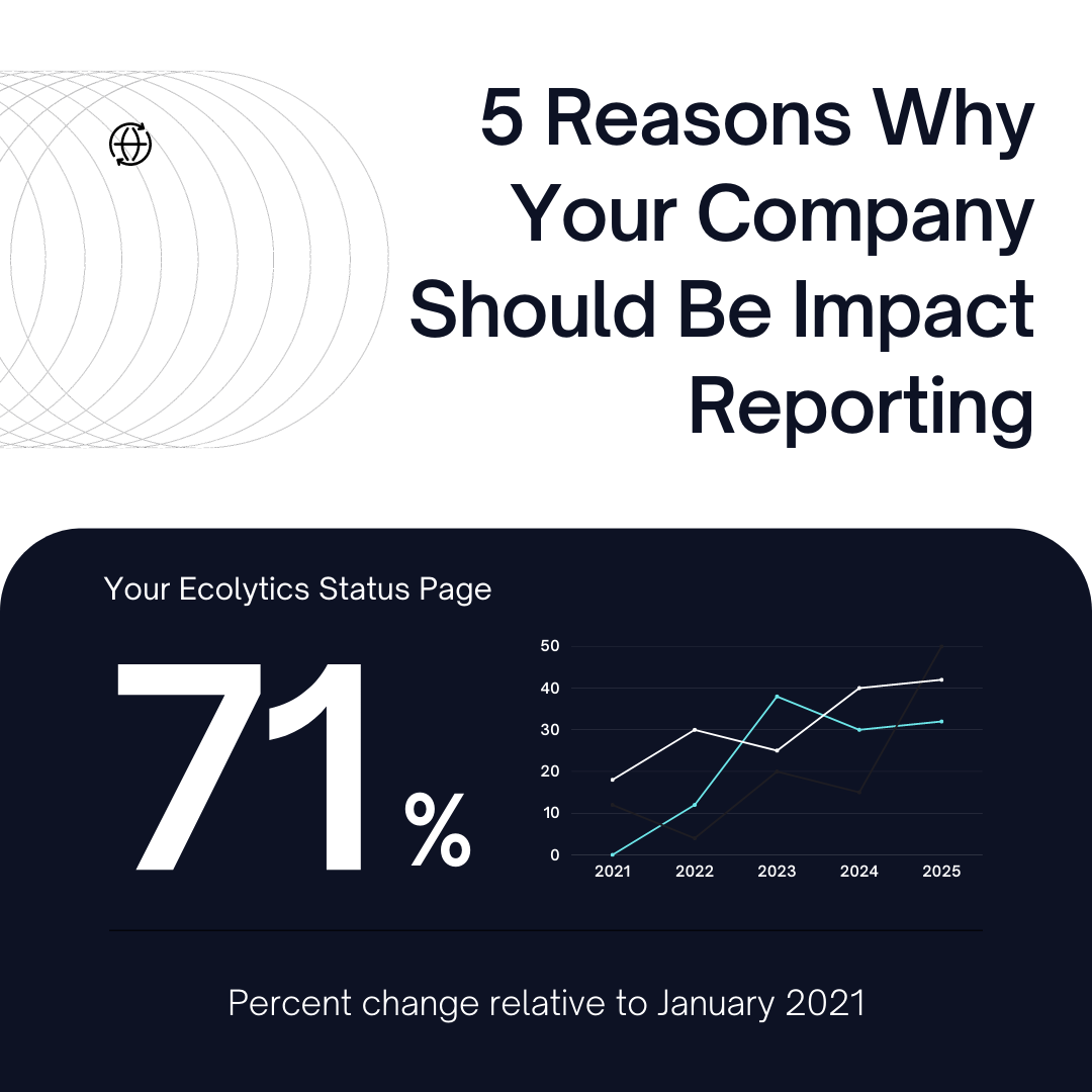 5 Reasons Why Your Company Should Be Impact Reporting