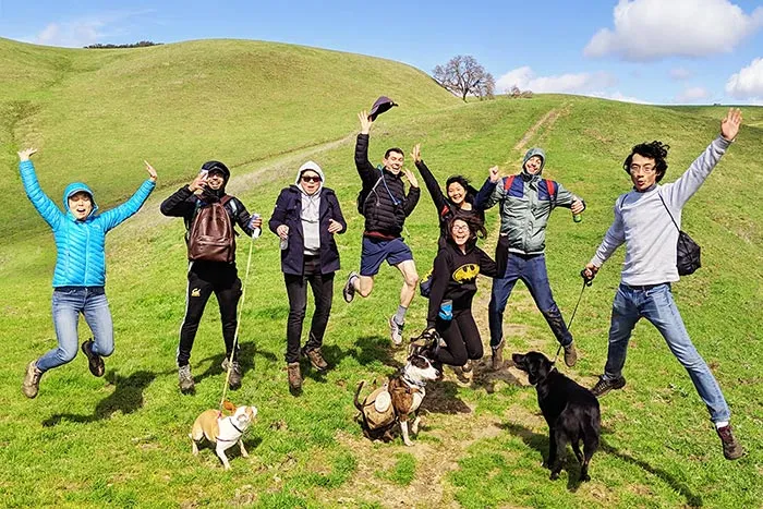 Our Air Quality Monitoring Mission as an Air Pollution Measurement ...