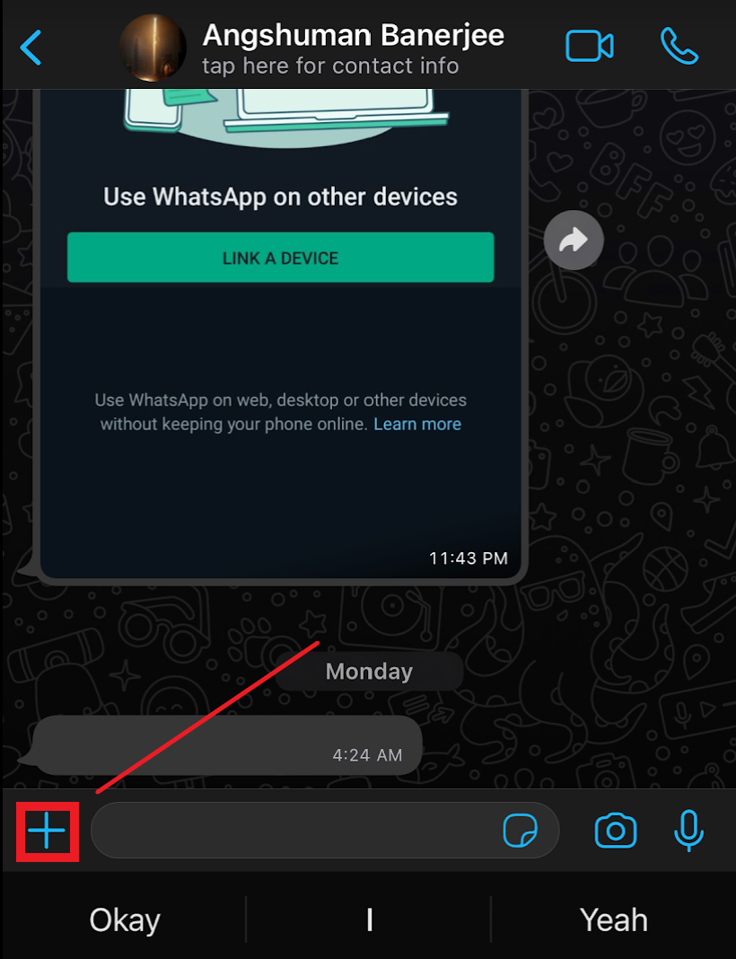 WhatsApp Shopping Catalog: All You Need to Know (2024)