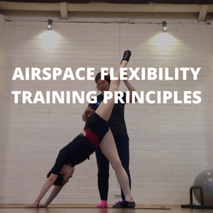 AirSpace Flexibility Training Principles