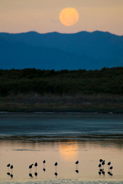 Moon over Miranda | Artwork by Ian Preece