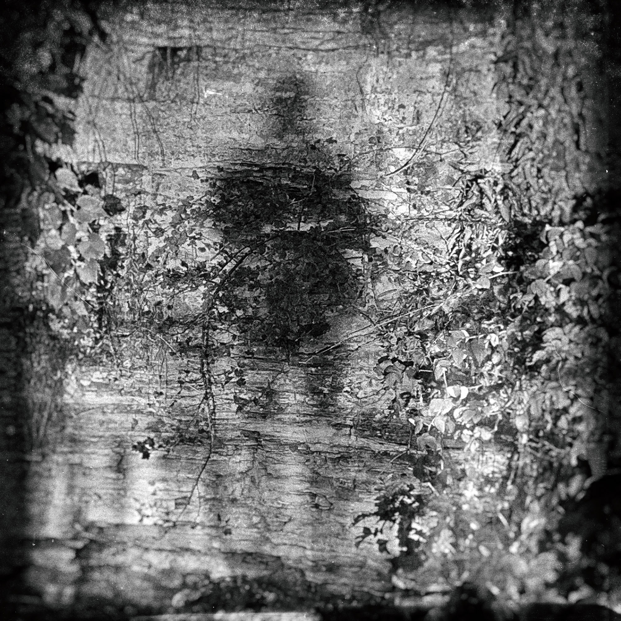 Dissolution Exhibition at Gallery 44