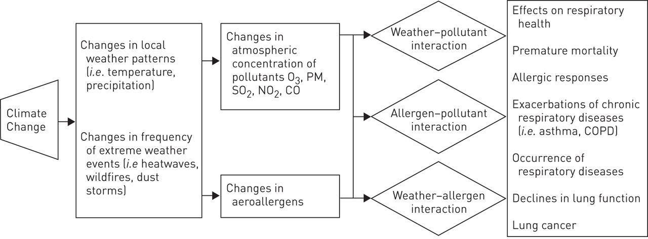 How summer temperatures and weather patterns impact air quality