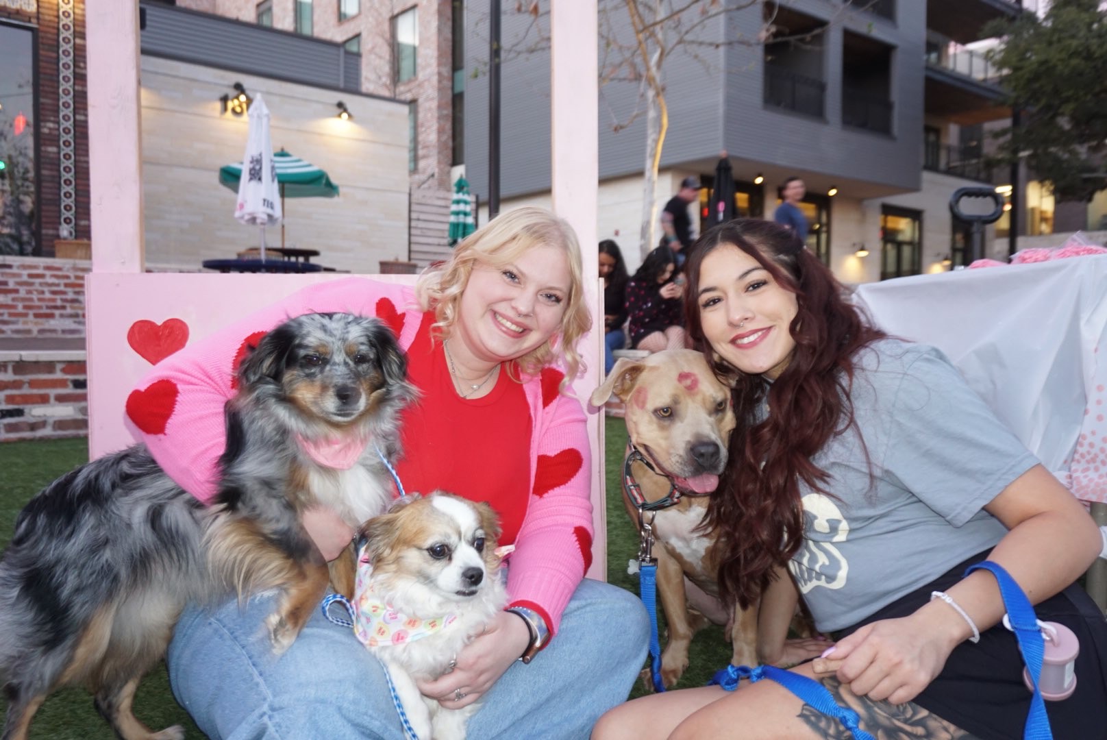 Puppy Kisses for Valentine’s Day with TAMU PAWS - Midway