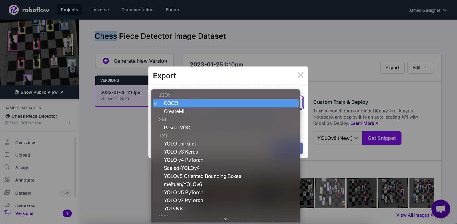 How To Convert Pascal VOC XML to COCO JSON