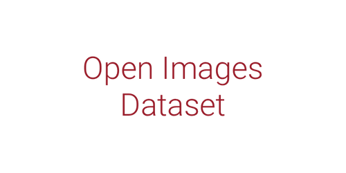 What is the OpenImages CSV Annotation Format?