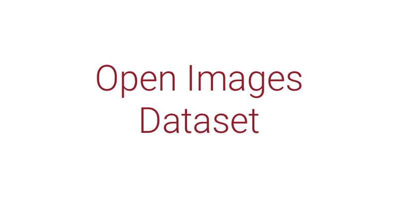 What is the OpenImages CSV Annotation Format?