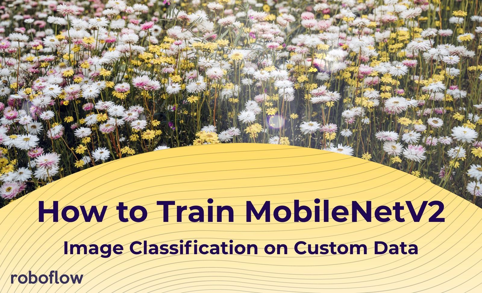 MobileNet V2 Classification Classification Model