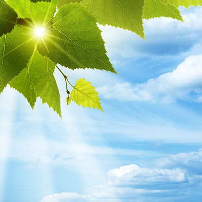 Behavioral & Mental Health Services