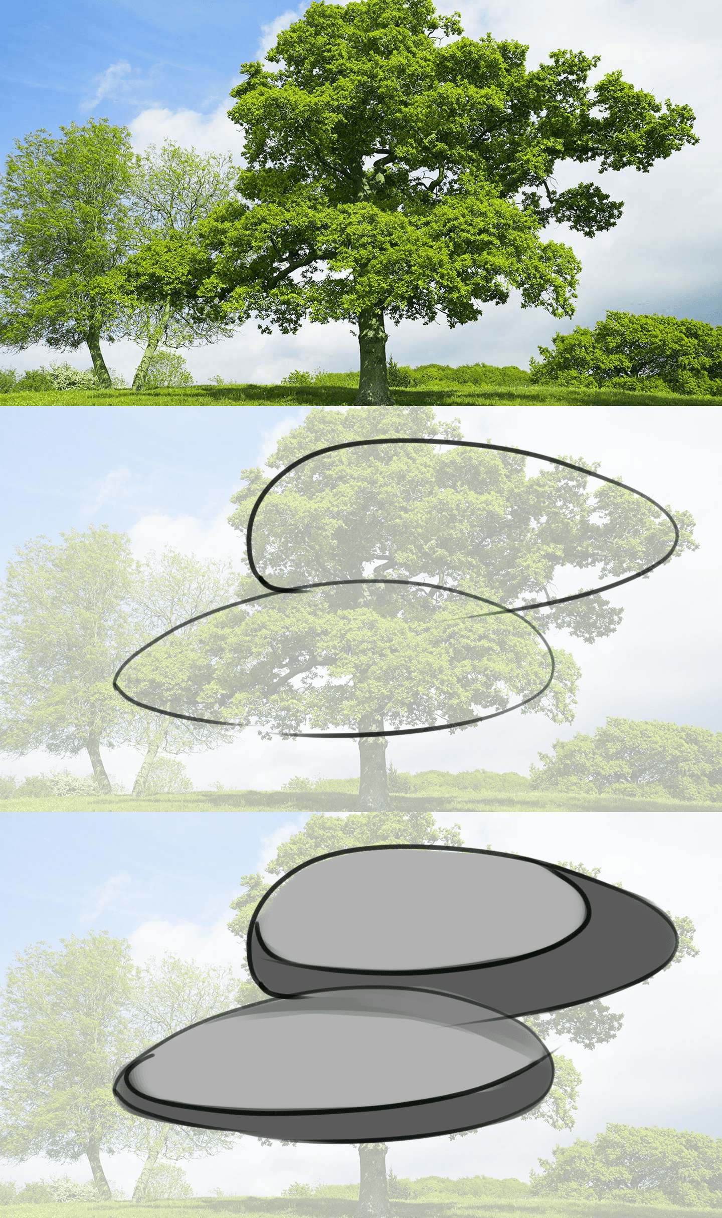 Mastering Foliage Drawing: A Comprehensive Guide