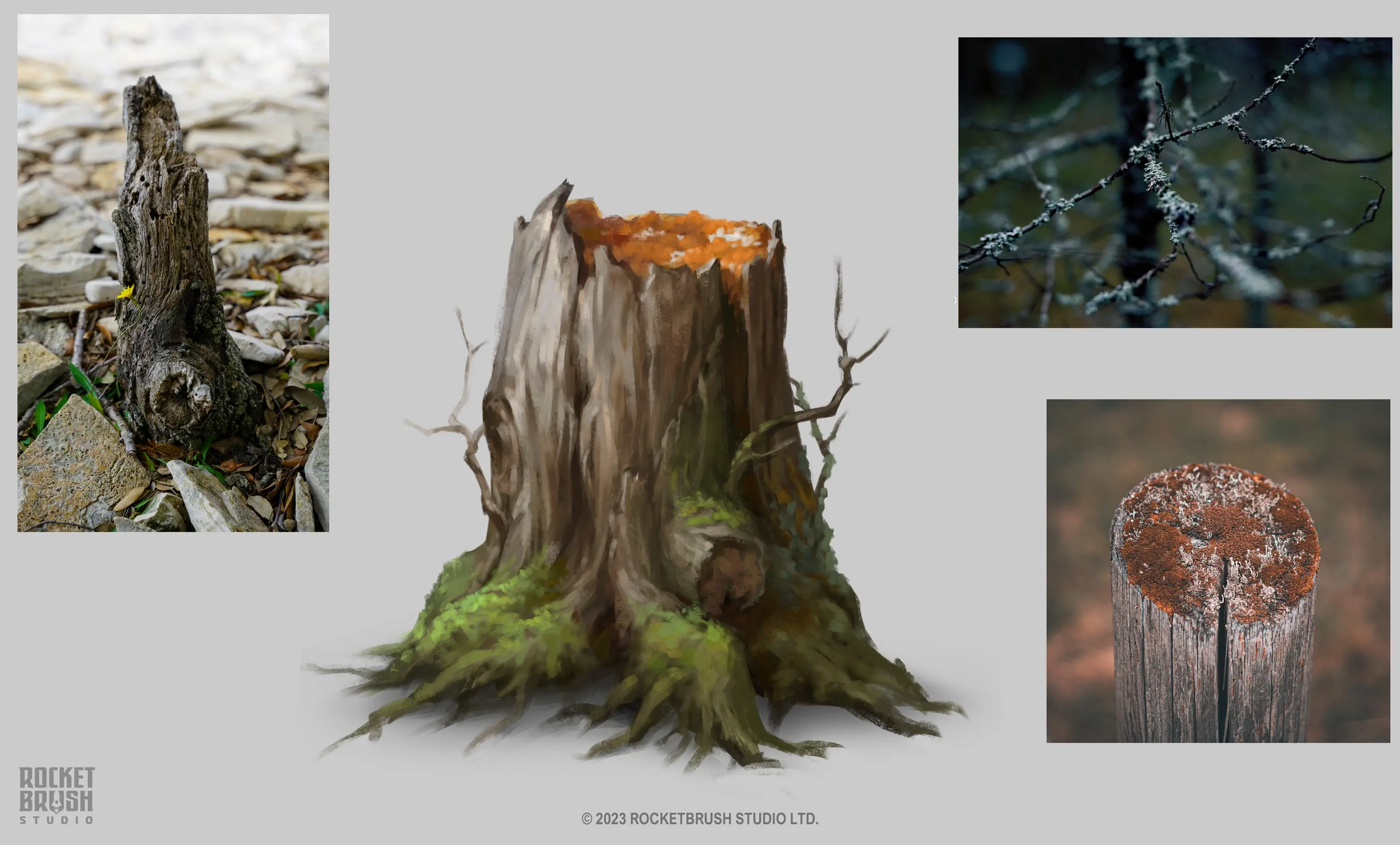 Mastering References for Drawing Materials