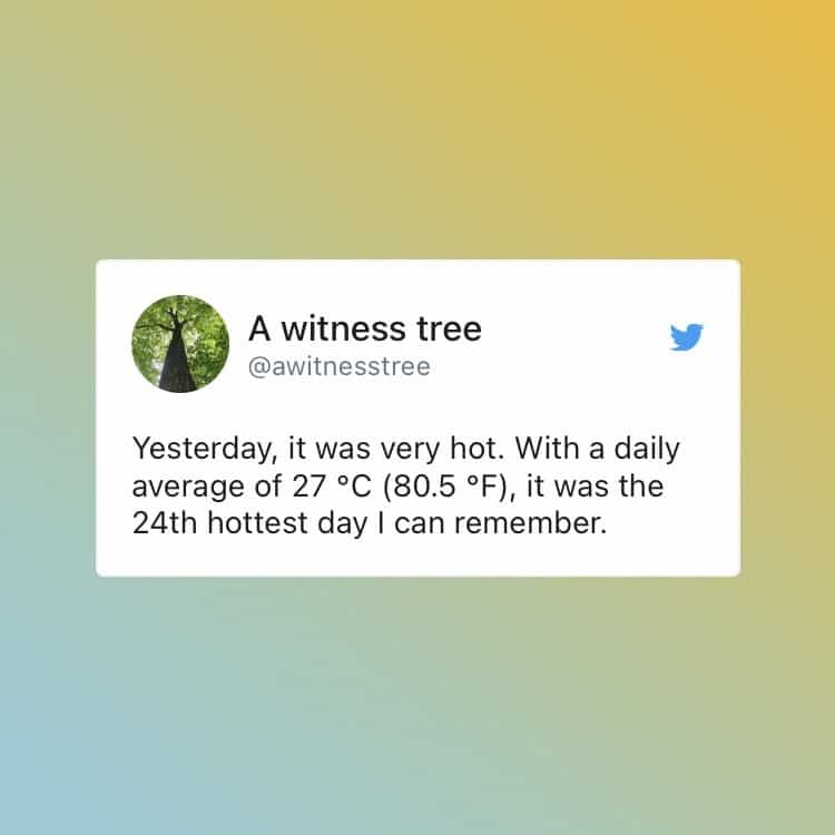 Researchers Have Found a Creative Way To Save Forests: They're Letting ...