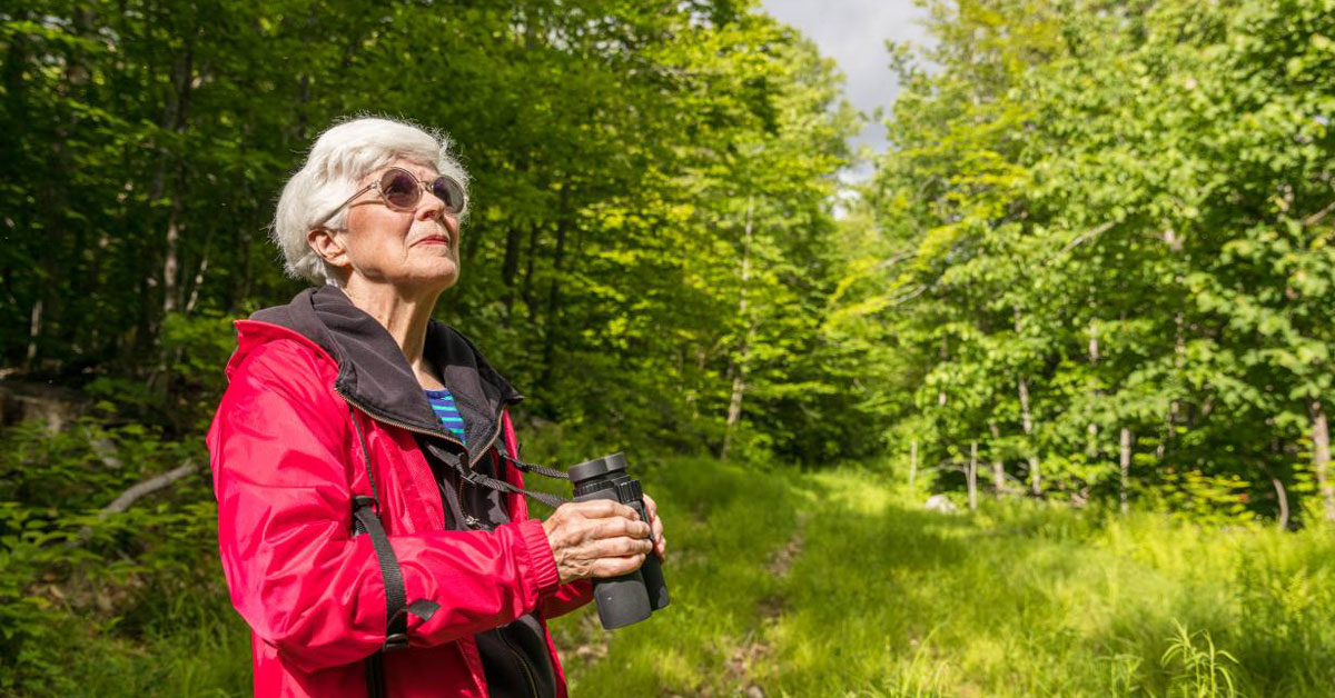 'The Woods Next Door' — U.S. Community Forests Take Root