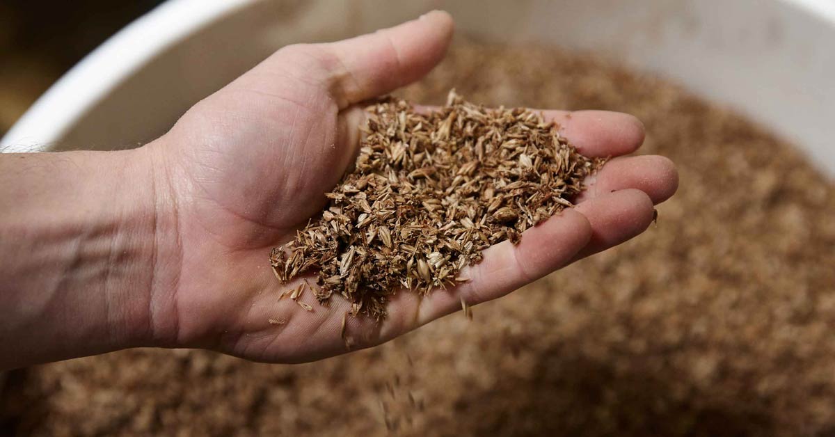 How ReGrained "Upcycled" Beer Into Food to Save the Planet