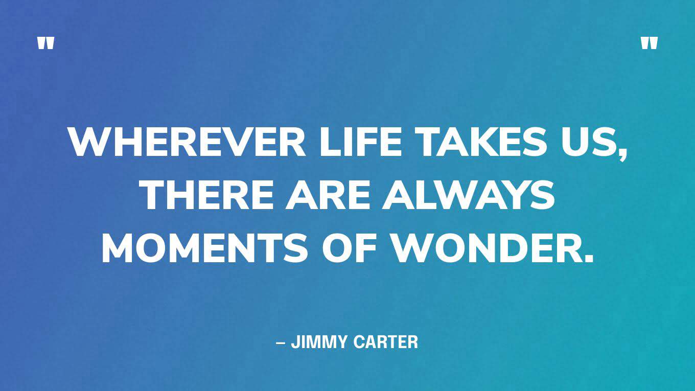 88 Best Jimmy Carter Quotes About Hope & Human Rights
