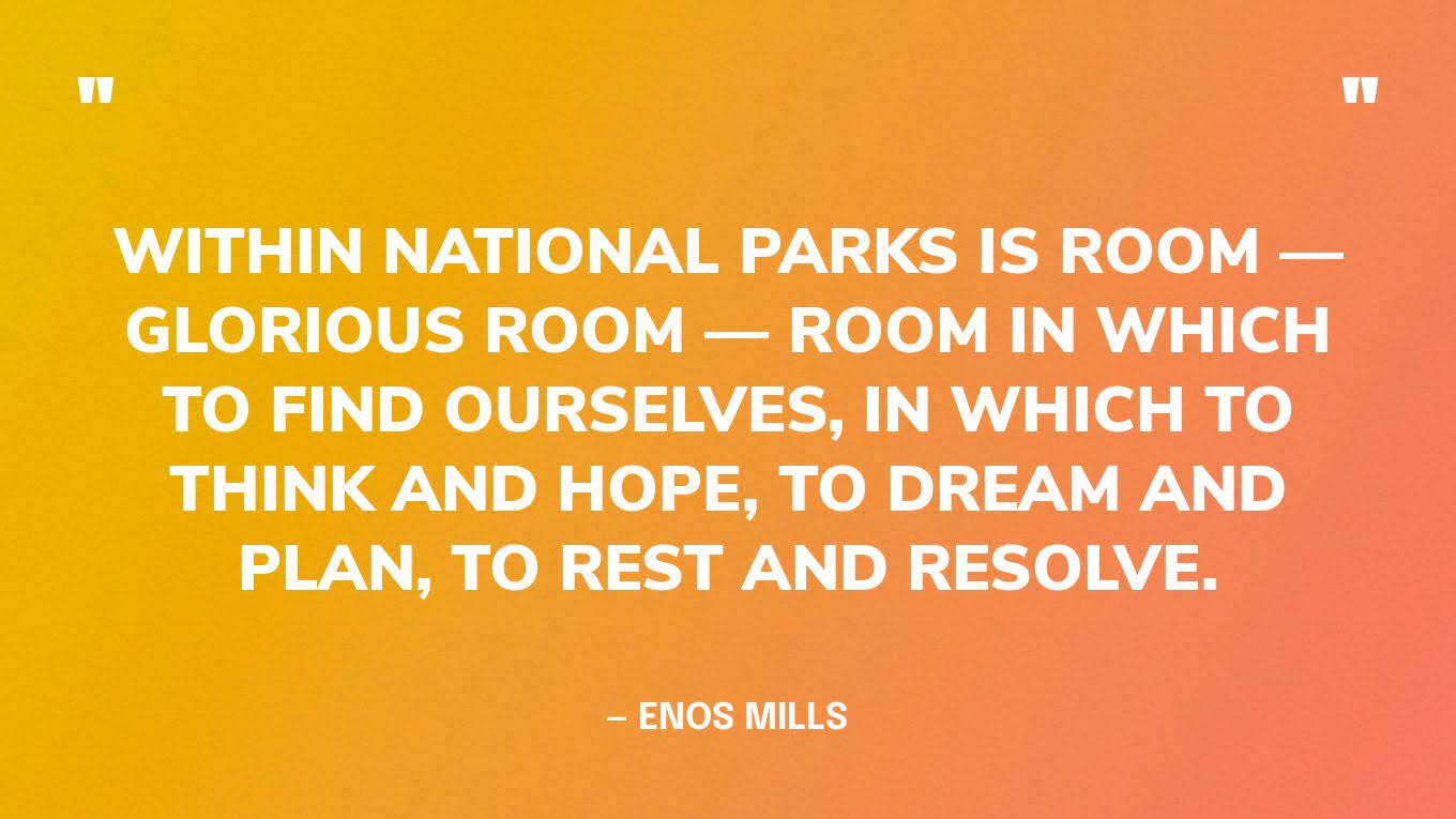 84 Best National Park Quotes For Your Next Adventure (2023)