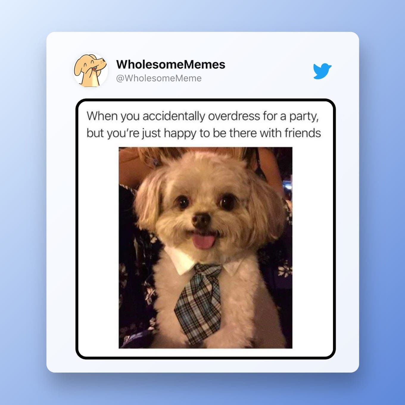 33 Wholesome Memes To Absolutely Make Your Day