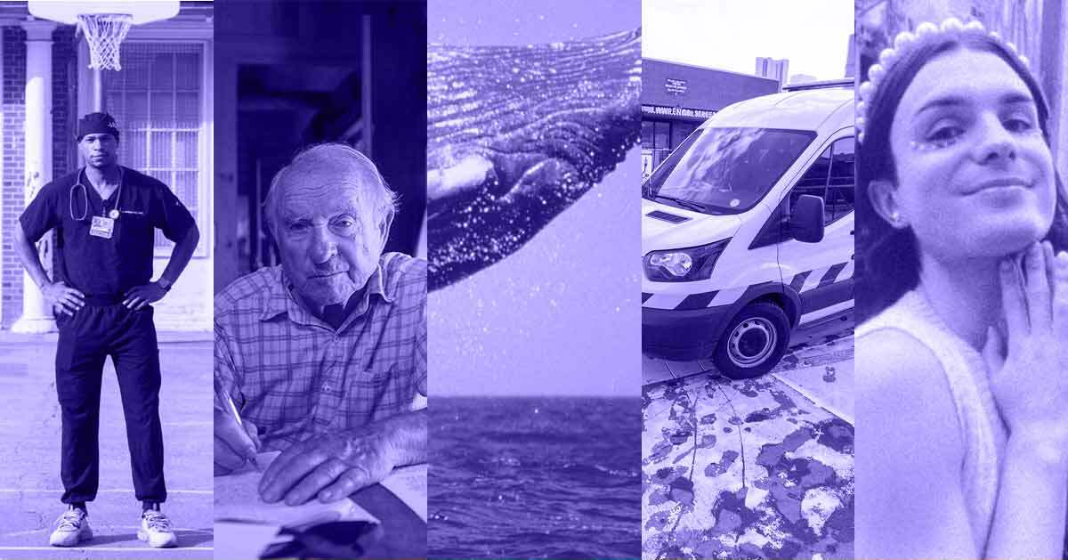 Patagonia, Whales, & Grief Kits - Good News This Week: December 31st 2022