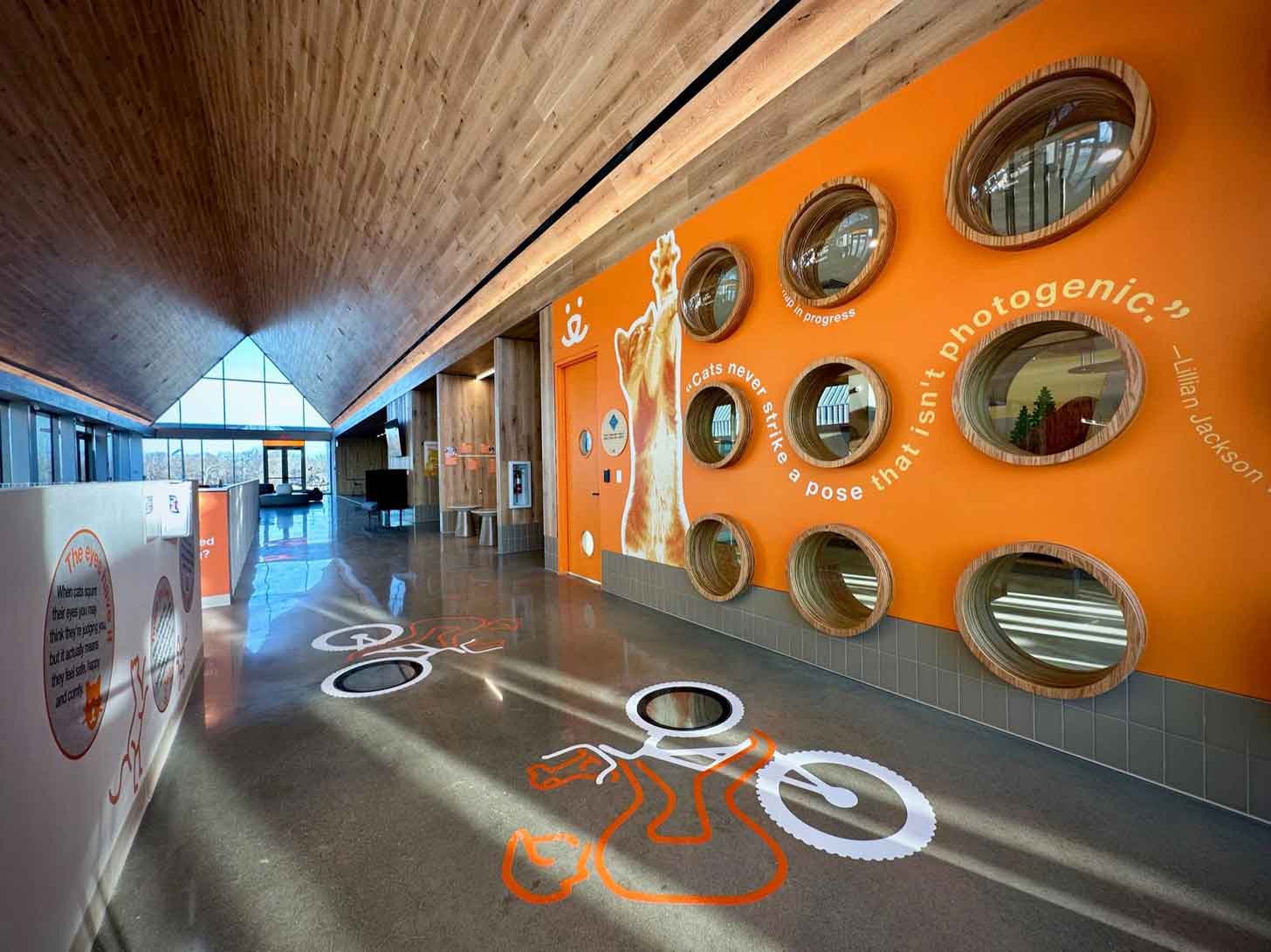 This Shelter Provides Pet Resources — Not Just Adoption