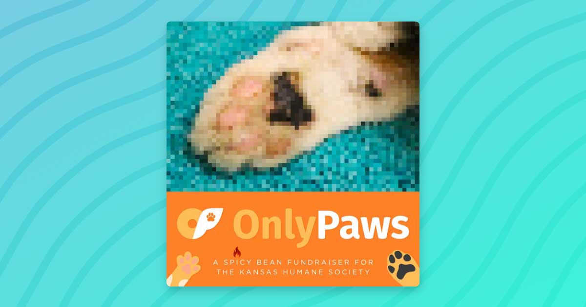 OnlyPaws: Humane Society Raised $8k Selling Feet Pics On Social Media