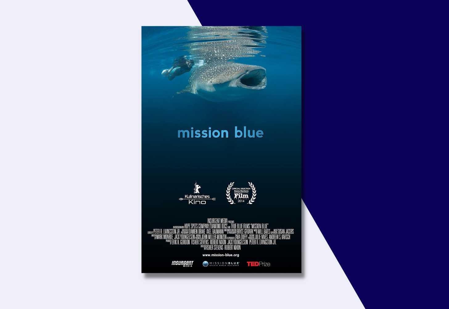 7 Best Water Documentaries To Dive Into