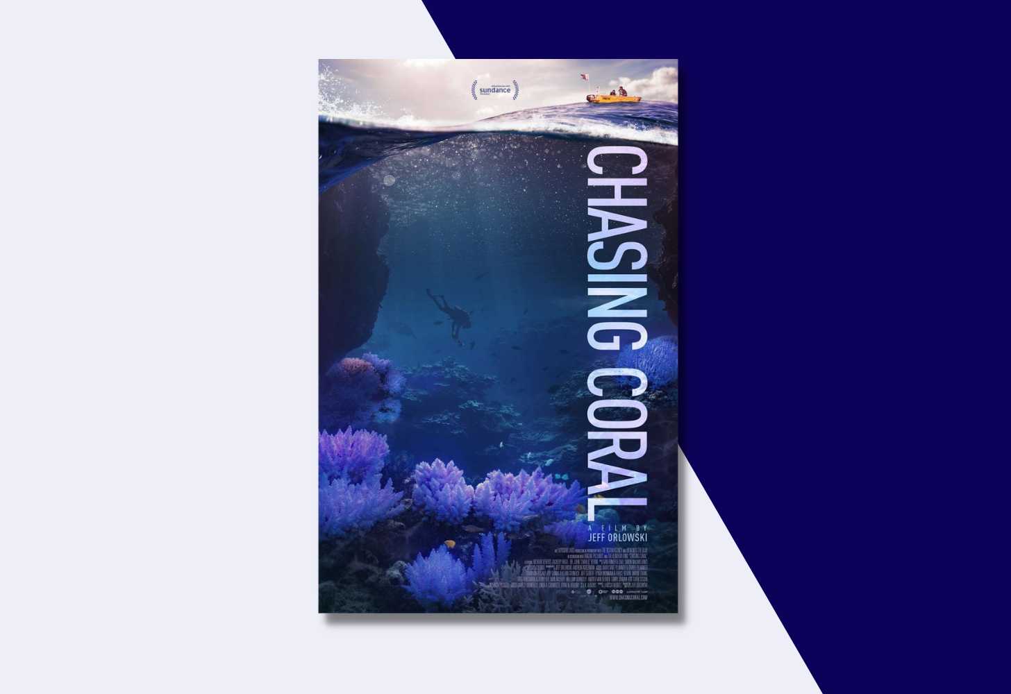 7 Best Water Documentaries To Dive Into