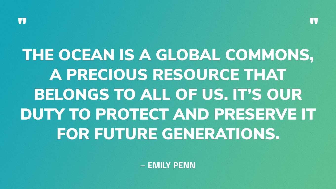 74 Best Ocean Quotes To Inspire Awe & Care