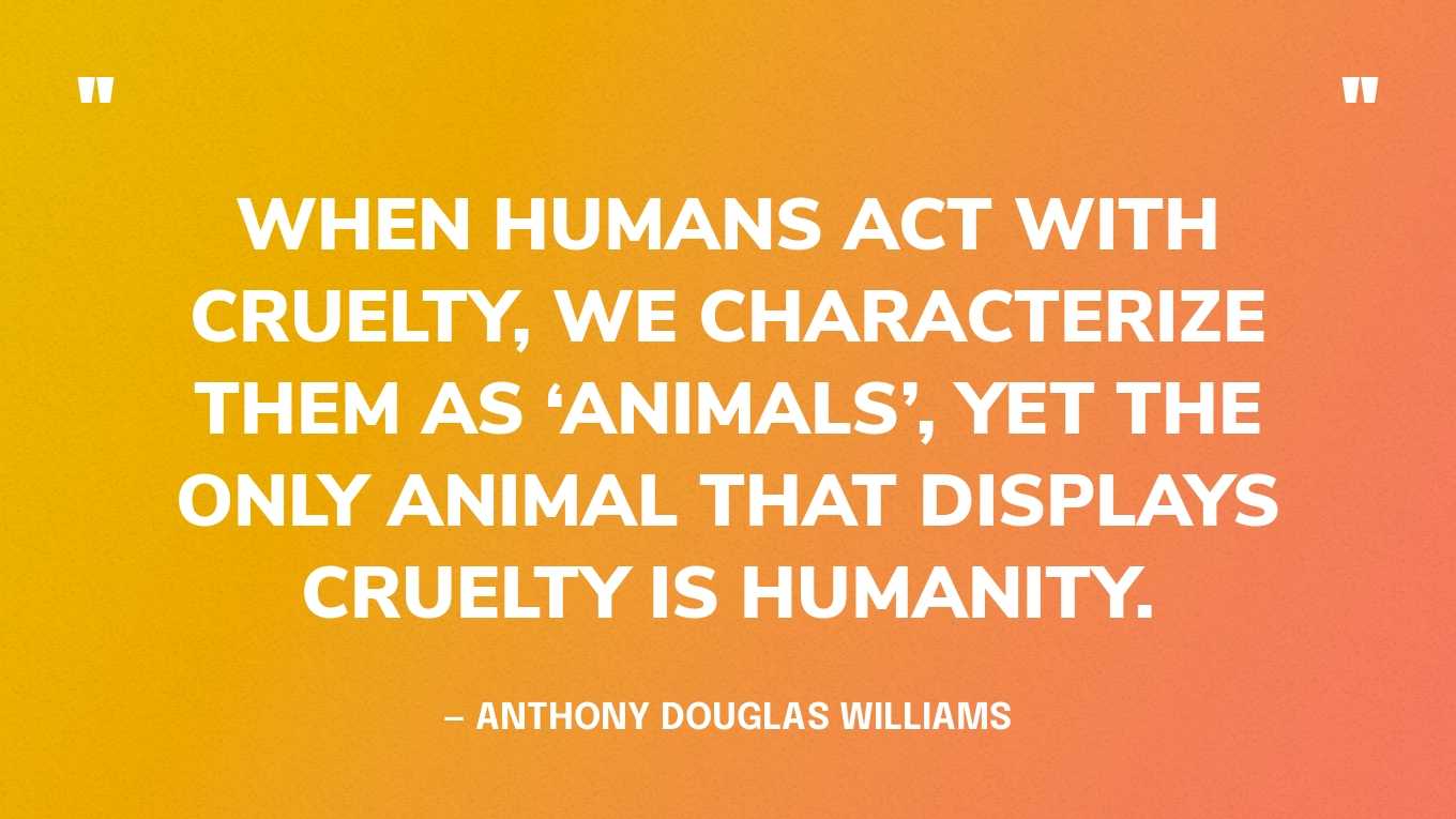 Stop Animal Cruelty Slogans Stop Animal Cruelty Slogans