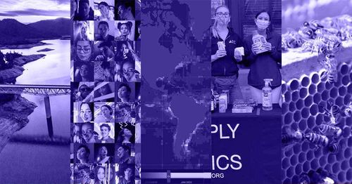 Good News This Week: July 1, 2023 - Lakes, Bees, & Gender Equality