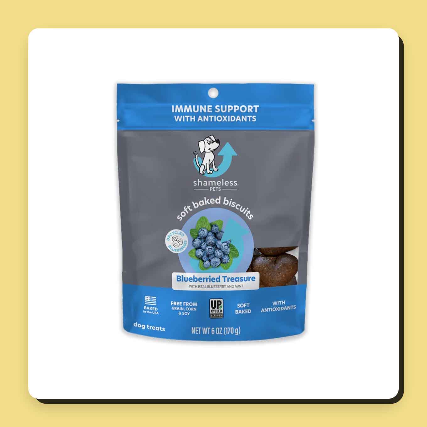 42 Best Sustainable Pet Products for Dogs & Cats (2023)
