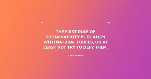 79 Best Sustainability Quotes To Inspire Action
