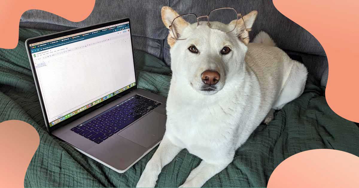 Employees of the Month: How Pets Contribute To Remote Work-Life Balance
