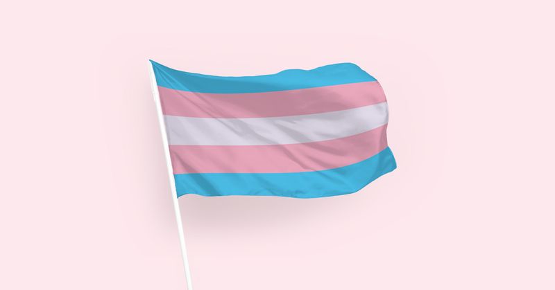 What Is the Transgender Pride Flag & What Does It Mean?