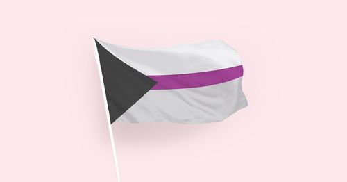 What Is the Demisexual Pride Flag & What Does It Mean?