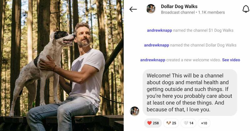 Dollar Dog Walks: How You Can Make a Difference While Walking Your Dog ...