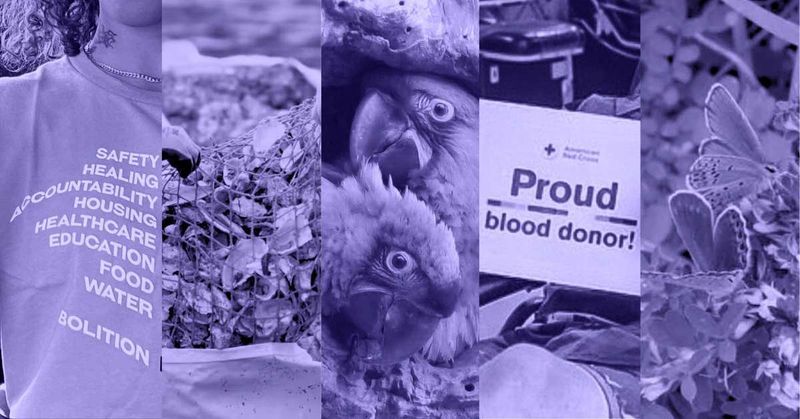 Good News This Week: January 6, 2024 - Bikes, Birds, & Butterflies