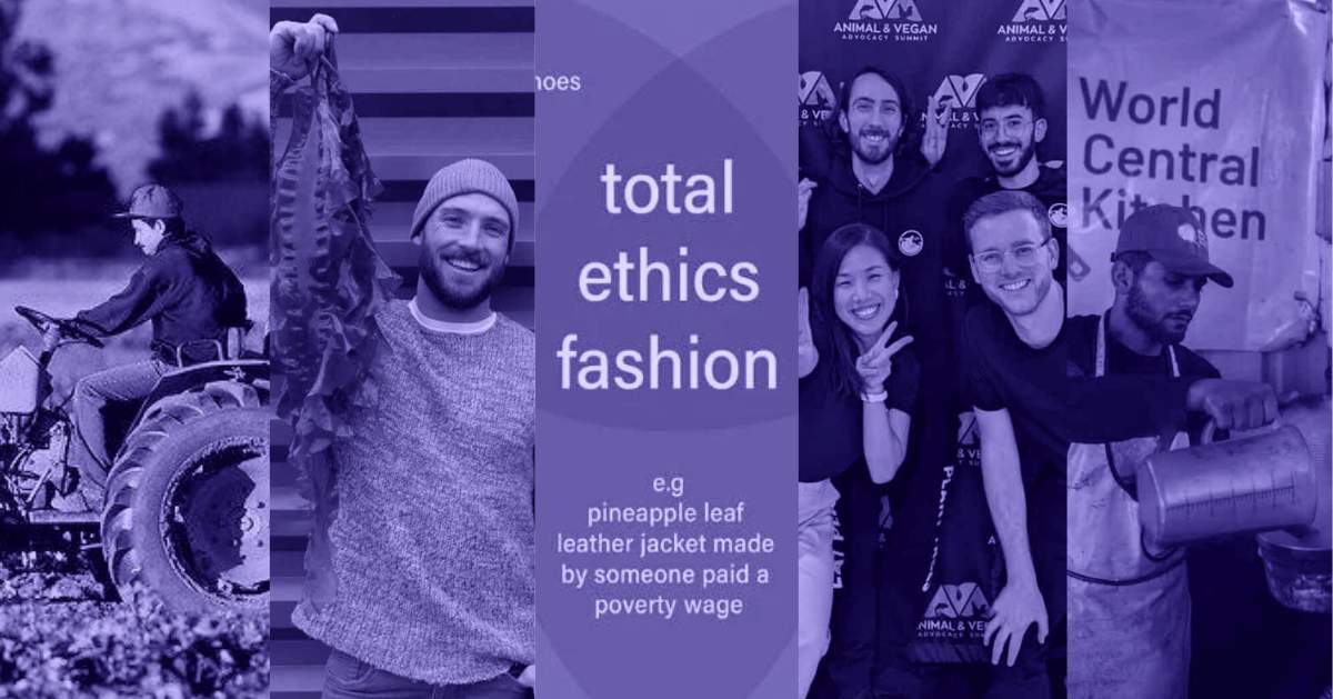 Exciting Updates of the Week: January 27, 2024 - Mr. Smith's World