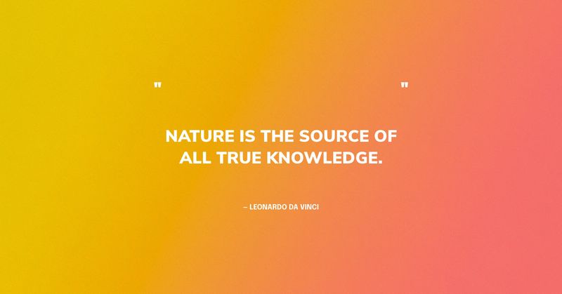 117 Most Inspiring Quotes About Nature