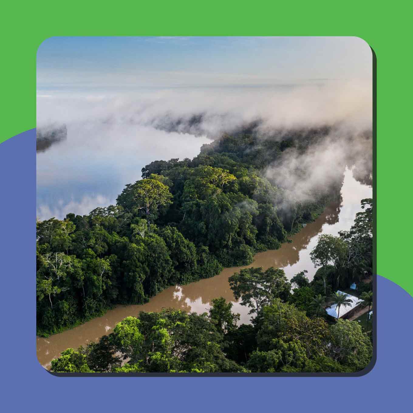 2023 was the first year without elephant poaching in Republic of Congo ...