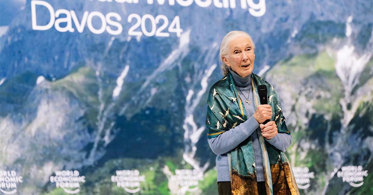 Jane Goodall: 'It will take hope, inspiration, and action to save the ...