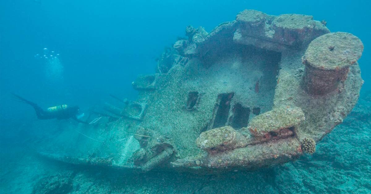 3 million shipwrecks around the world have become helpful habitats for ...