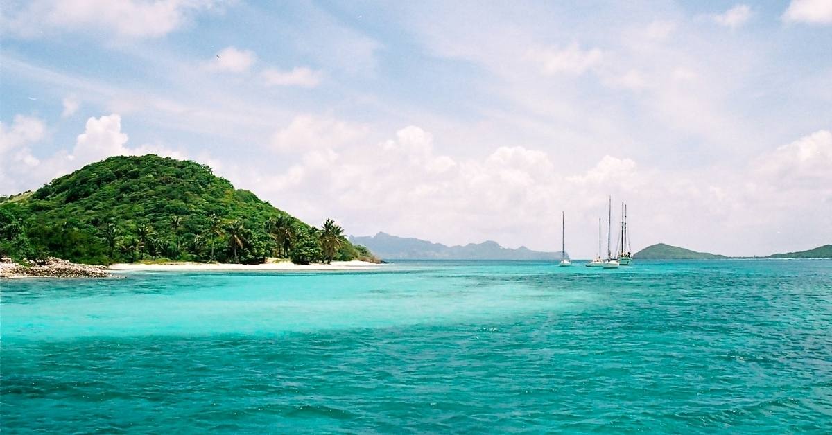 Nonprofit's success with 40k coral plantings is a big win for Caribbean ...