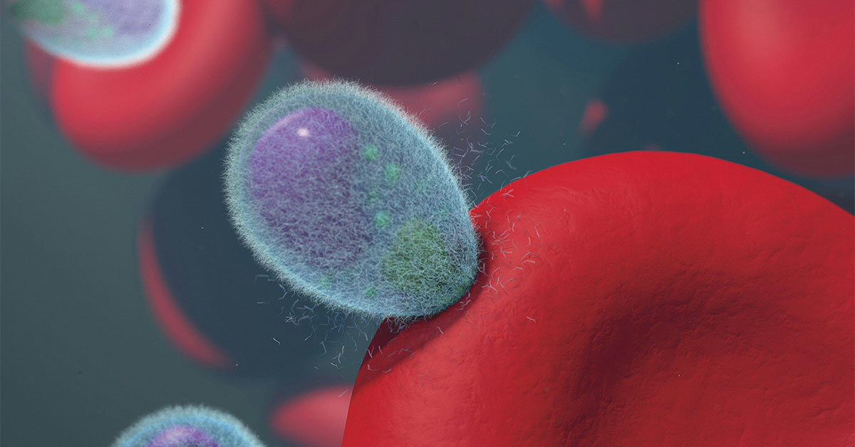 R21 anti-malaria vaccine is a game changer. The scientist who designed ...