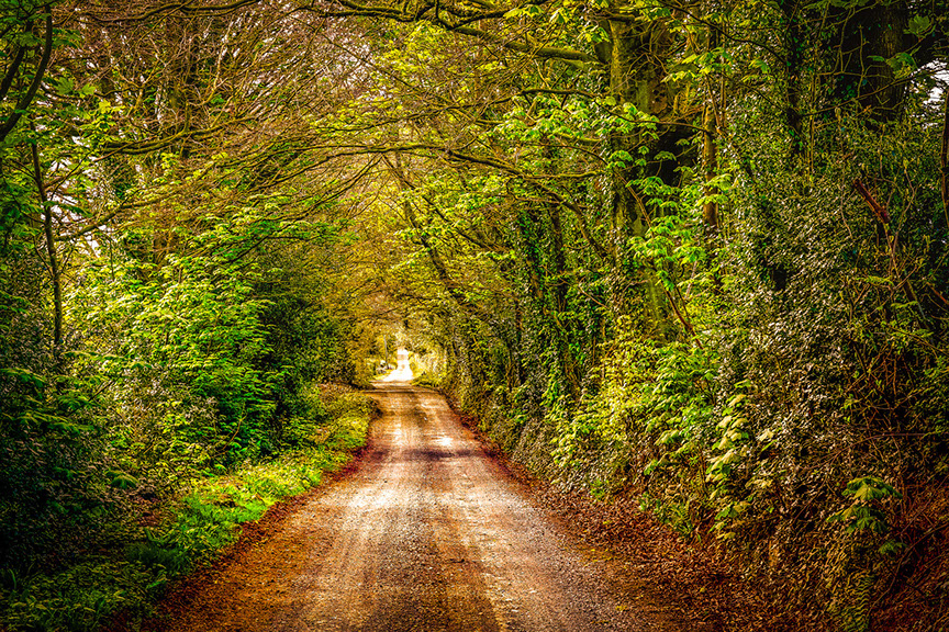 Beeches Farm Campsite | Photo Gallery