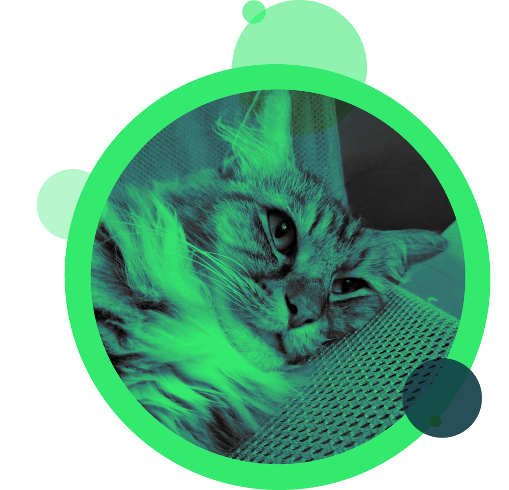 The team that made me - CAASie.co UK