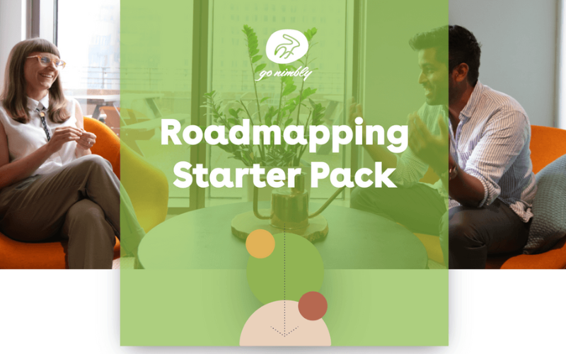 RevOps Roadmapping Starter Kit