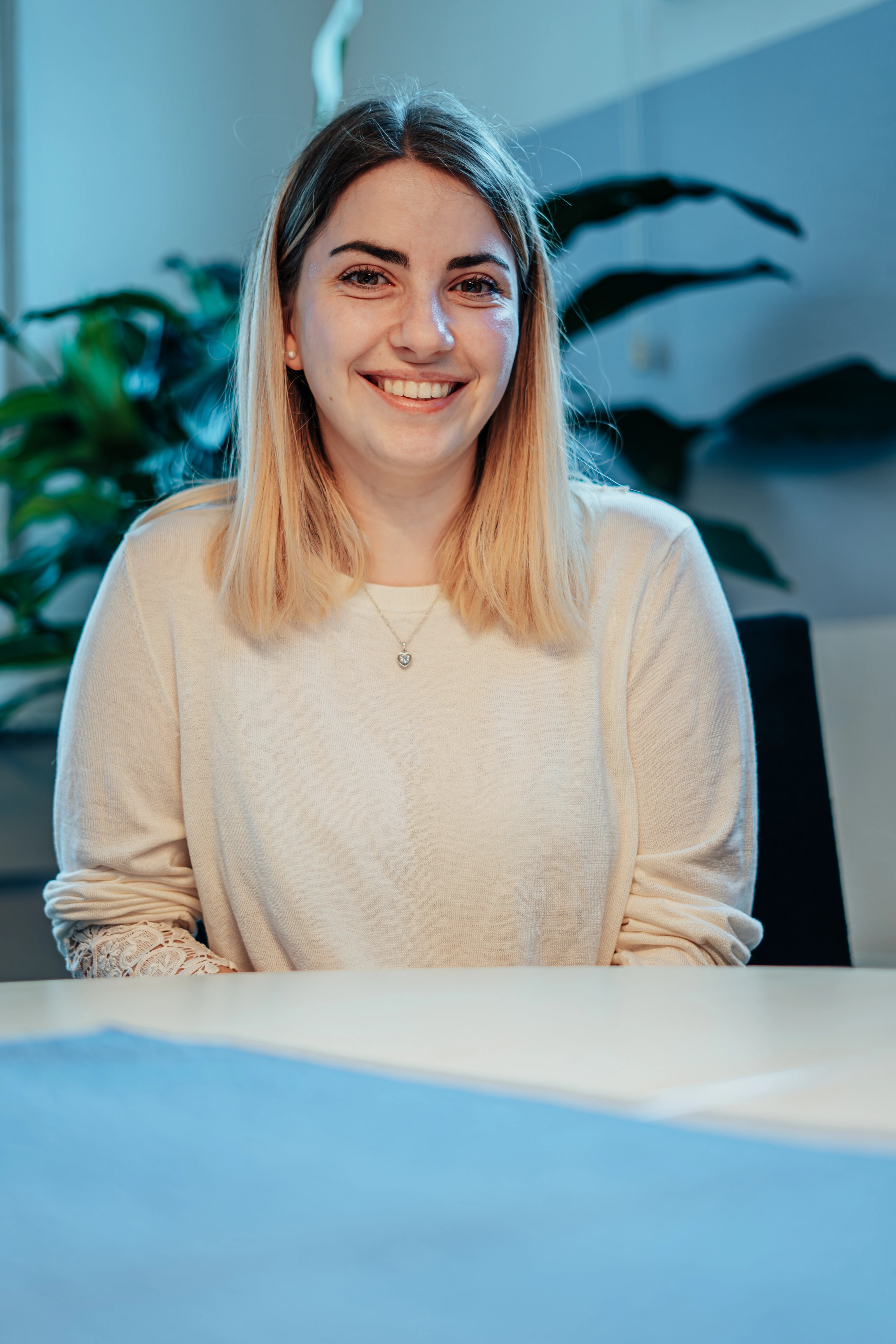 Gehrlein & Kollegen - Karriere